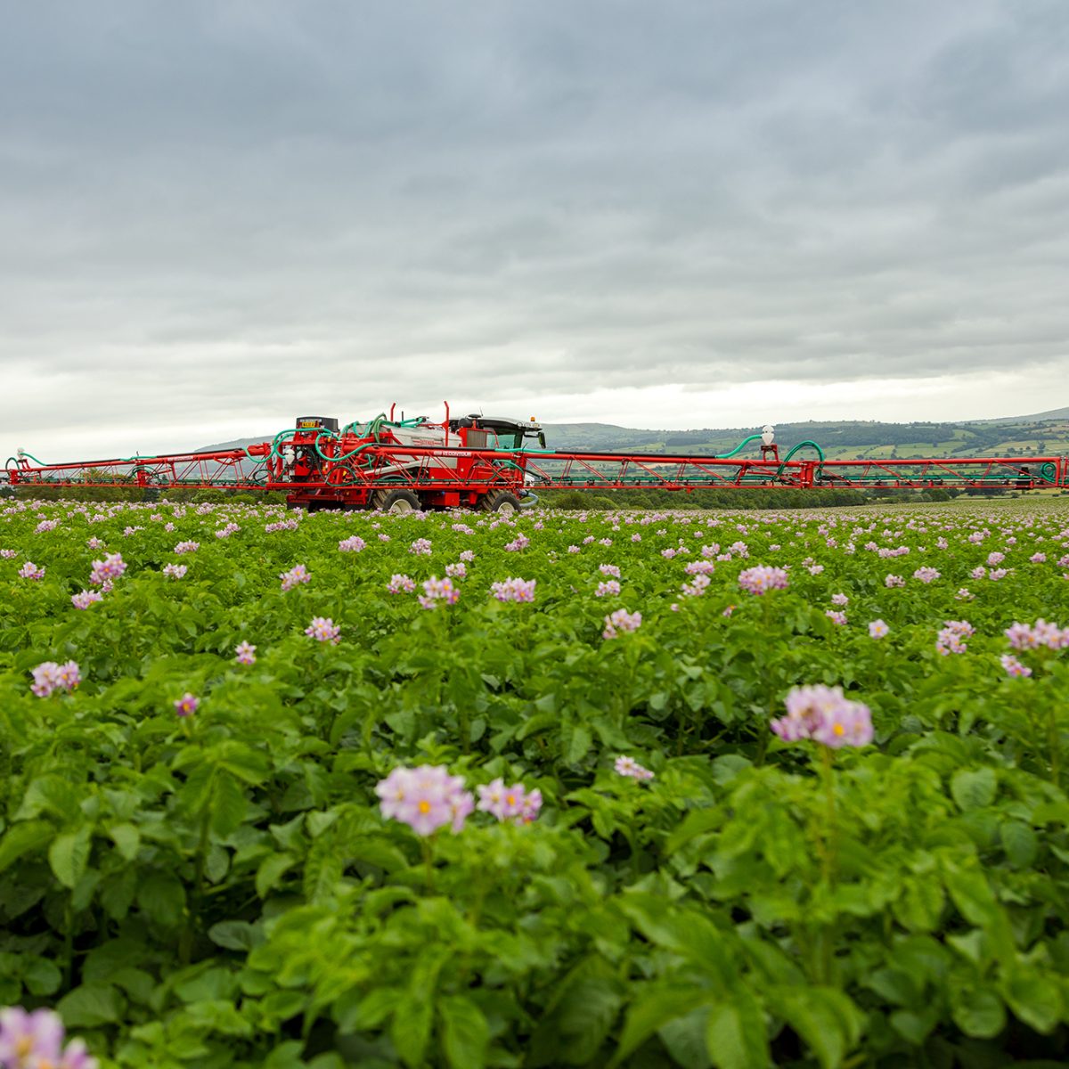 RB55 Image Gallery - Bateman Sprayers